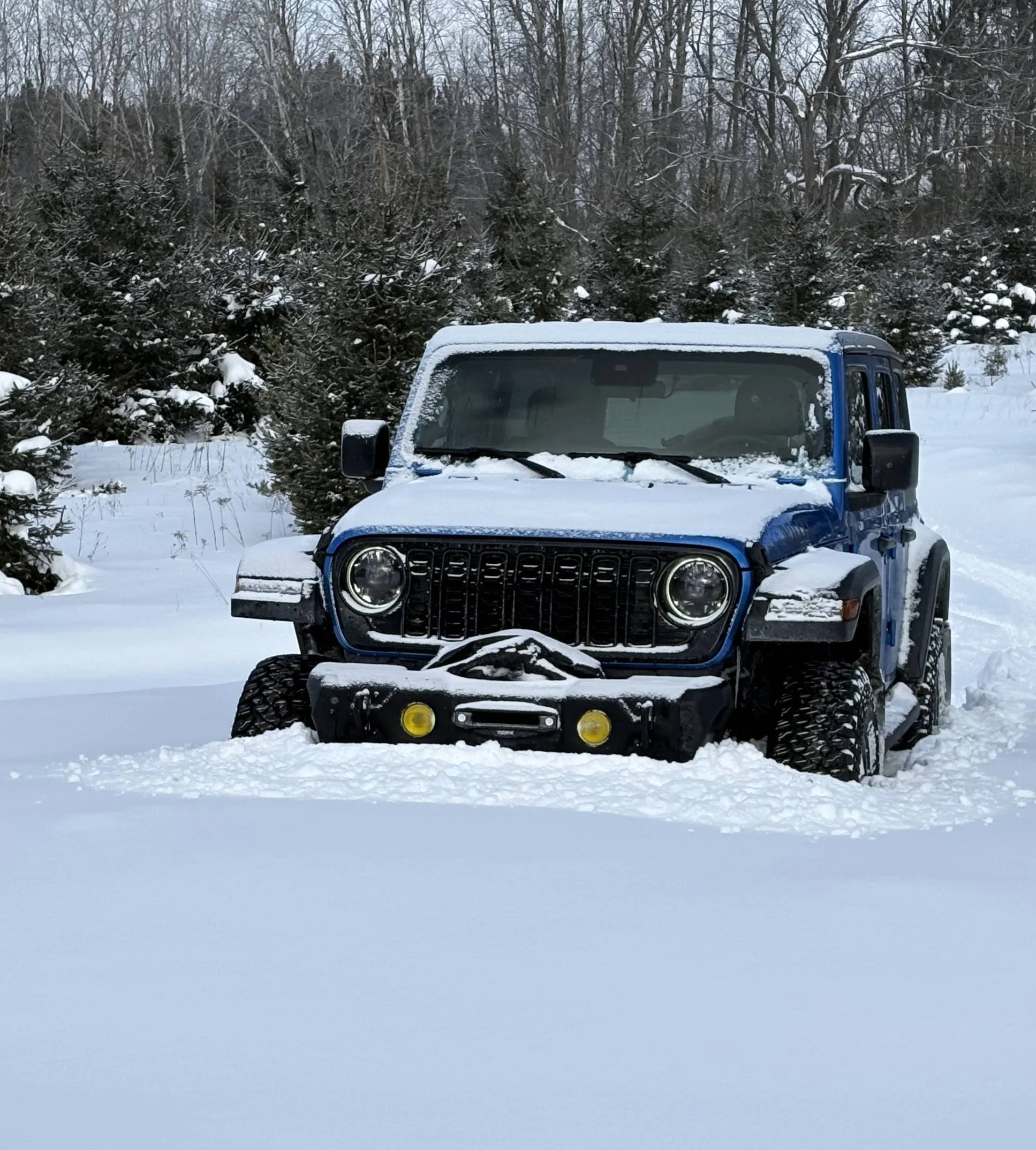 Willy It Is Winter | Jeep Wrangler Forums (JL / JLU) -- Rubicon, 4xe ...