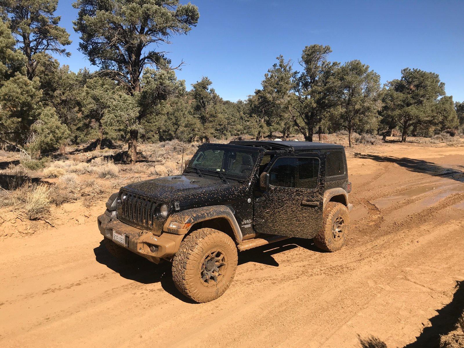 Cleaning Mud off the engine by spraying water | Jeep Wrangler Forums ...