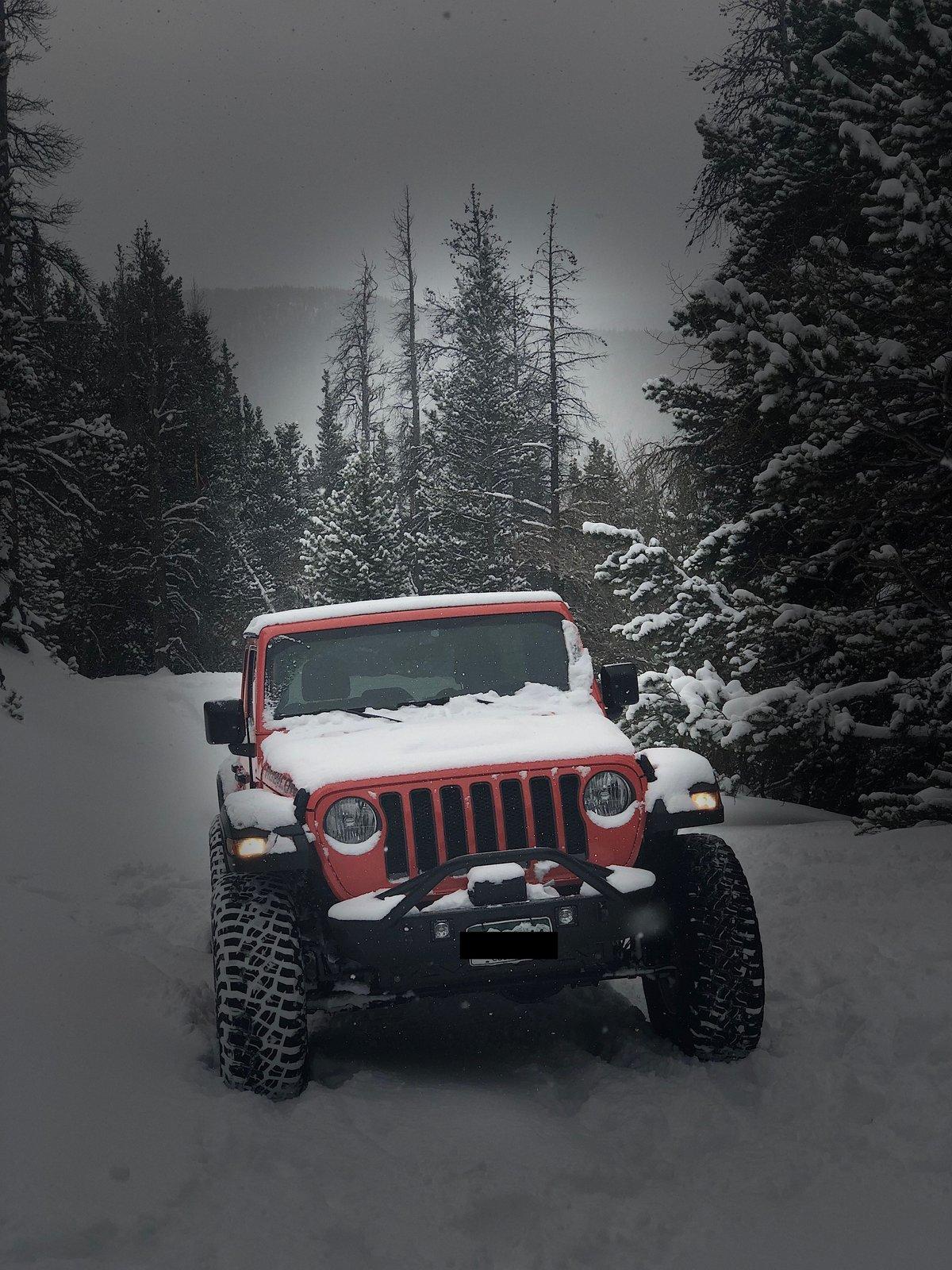 Post Your Cool Random JL pics. Pics. Pics, pics, pics! | Page 57 | Jeep ...